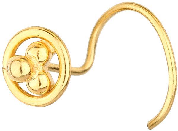 Round Nose Pin | Exotic India Art