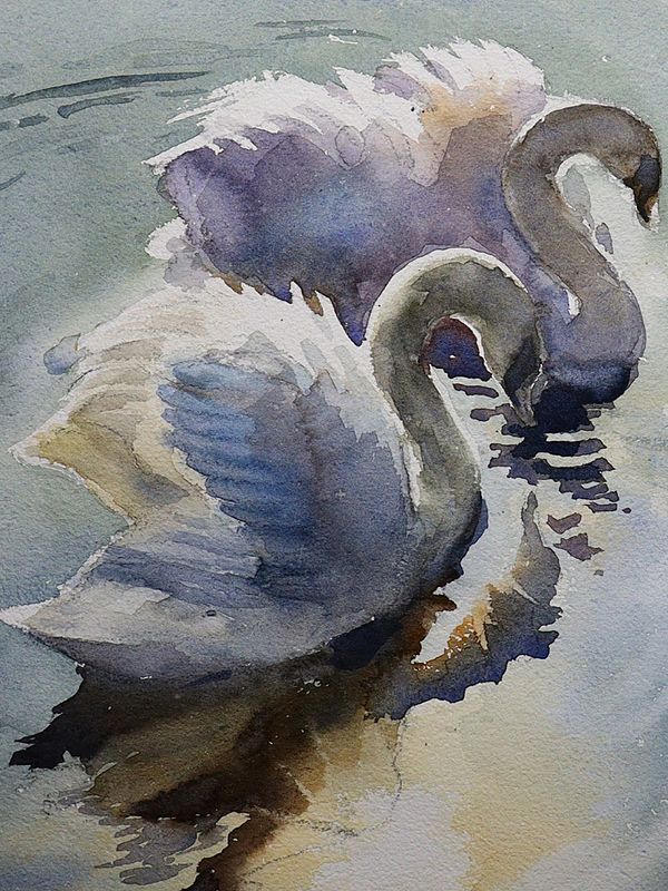 Pair of Swan | Watercolor Painting by Achintya Hazra | Exotic India Art