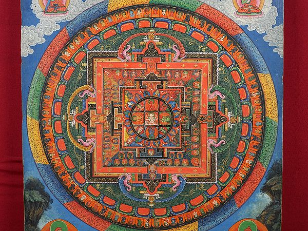 Newari Dharmadhatu Mandala (Brocadeless Thangka) | Exotic India Art