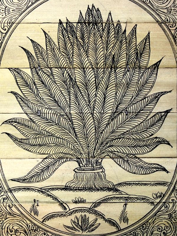 Tree Series 67 | Exotic India Art