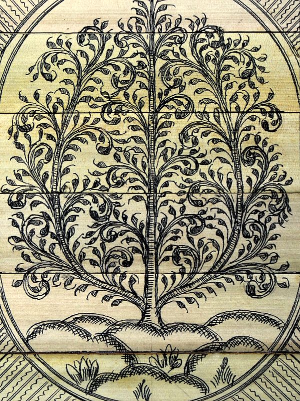 Tree Series 74 | Patta Painting from Odisha | Exotic India Art
