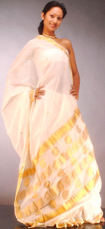 Kasavu Cotton Sari from Kerala | Exotic India Art