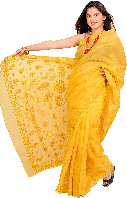 Golden-Apricot Sari from Lucknow with Chikan-Embroidery by Hand ...