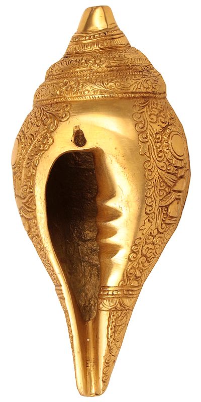 Vishvarupa Vishnu Wall Hanging Conch | Exotic India Art