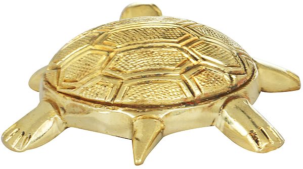 Vastu Tortoise with Yantra Underneath | Exotic India Art