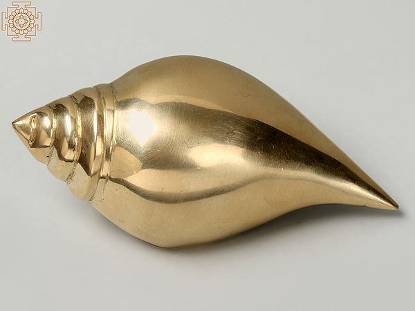 5" Small Conch (Shankh) in Brass | Exotic India Art