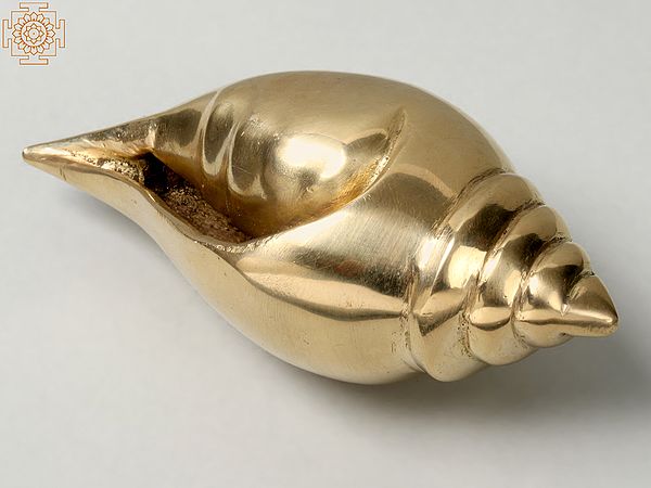 5" Small Conch (Shankh) in Brass | Exotic India Art