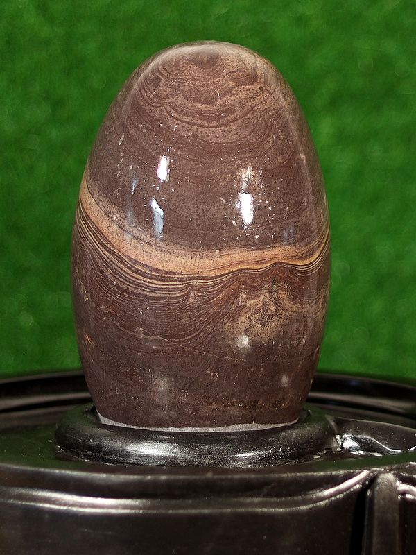 Circulating Chakras On Linga | Narmada River Shiva Lingam | Exotic ...