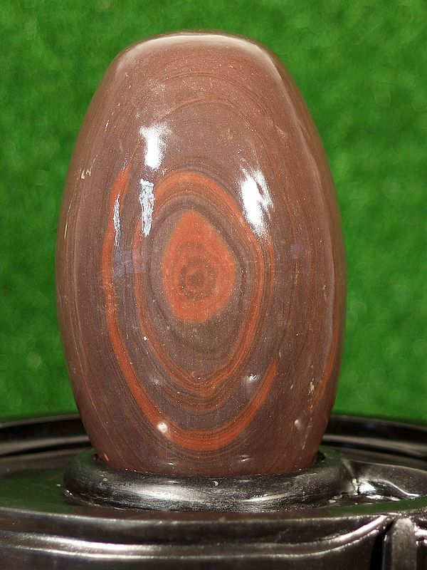 Visible Chakras On Linga | Narmada River Shiva Lingam | Exotic India Art