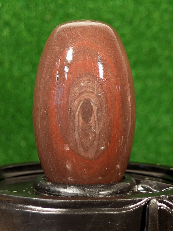 Multiple Colour Linga From River | Narmada River Shiva Lingam | Exotic ...
