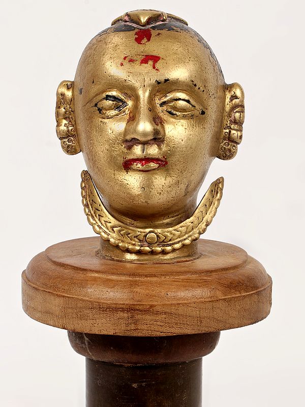 11" Brass Gauri Head (Devi Parvati) on Wooden Stand | Exotic India Art