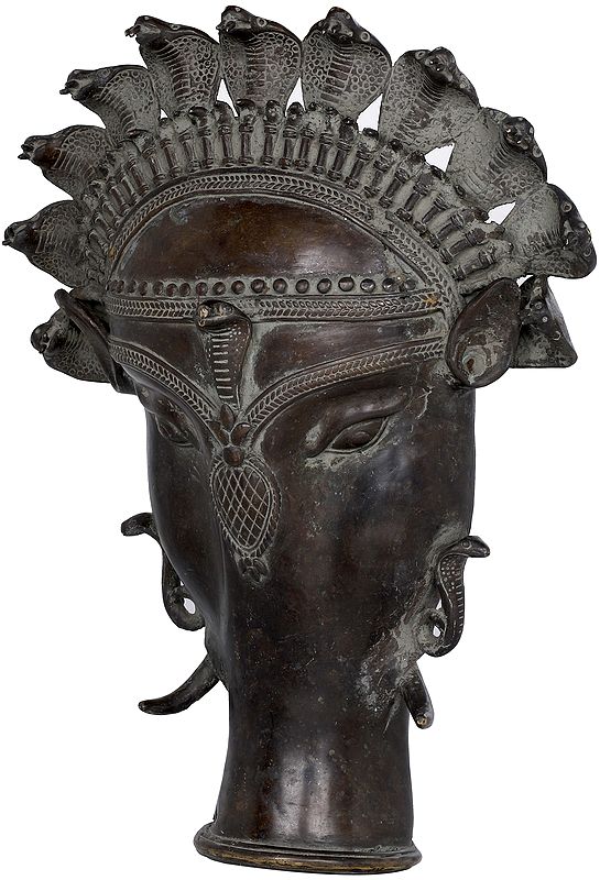 Varaha Mask Wearing Serpents Crown (The Boar Inacrnation Of Lord Vishnu ...