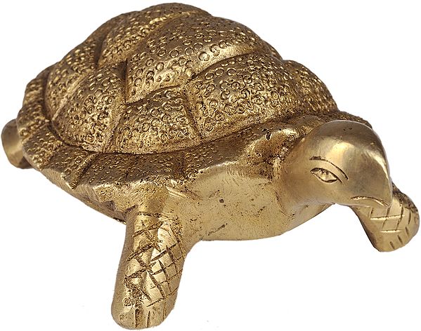 3" Tibetan Buddhist Feng Shui Tortoise In Brass | Handmade | Made In ...