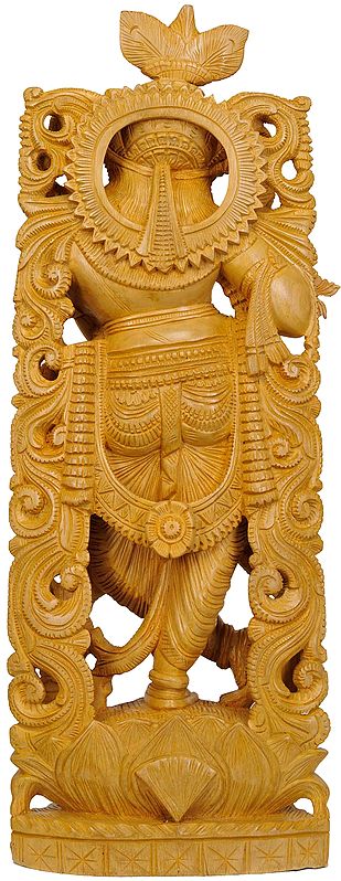 Murali Krishna | Exotic India Art