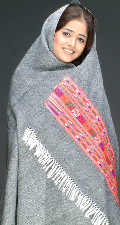 Gray Shawl with Kullu Border | Exotic India Art