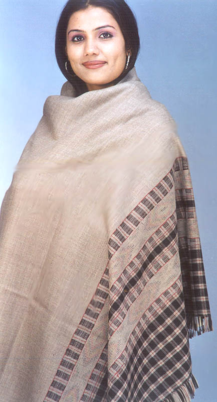 Plain Dushala with Checks on Border | Exotic India Art